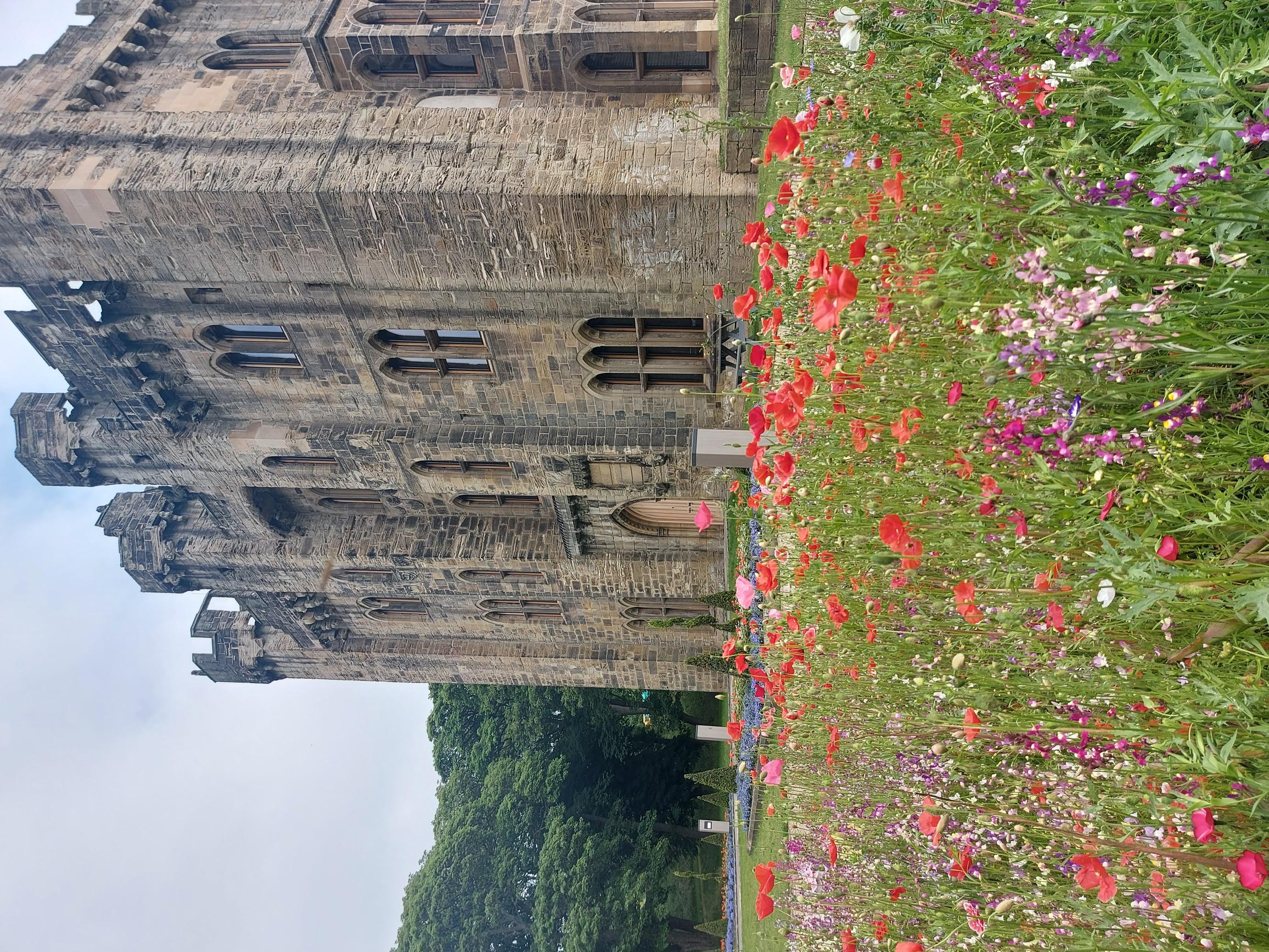 The Castle - Hylton Castle